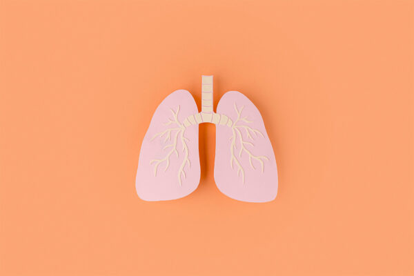 Lungs in TCM: Roles and Tips to Boost Lung Health