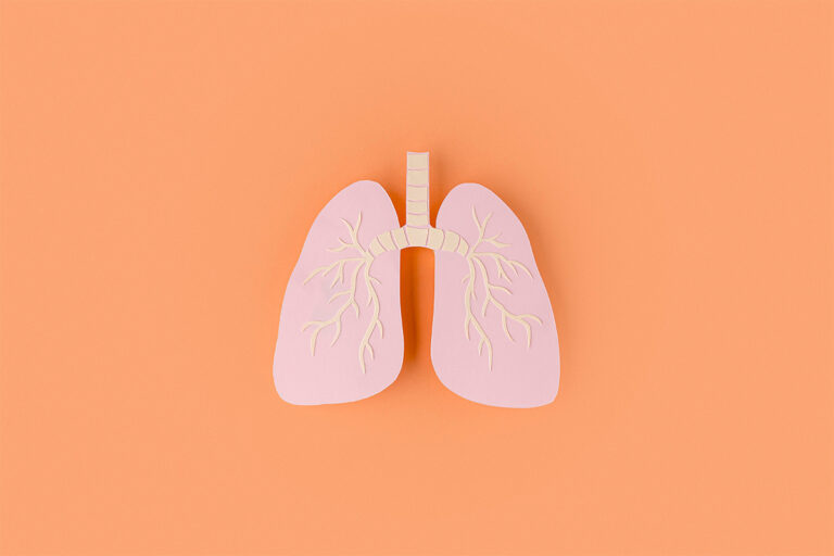 Lungs in TCM: Roles and Tips to Boost Lung Health