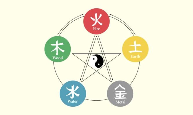 Understanding TCM Organ Systems (Zang Fu) – A Modern Guide