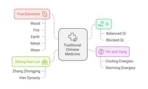 Chinese Remedies for Cold: Effective Recovery Strategies
