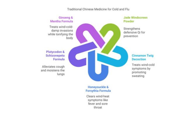 Chinese Remedies for Cold: Effective Recovery Strategies