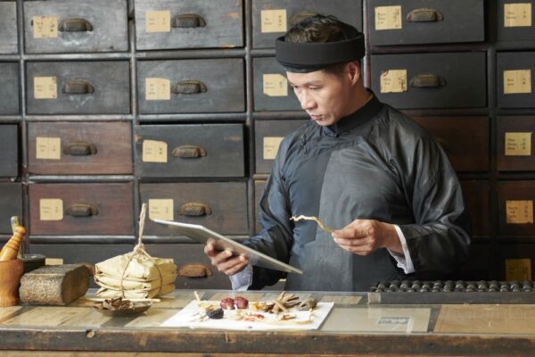 Understanding TCM Organ Systems (Zang Fu) – A Modern Guide